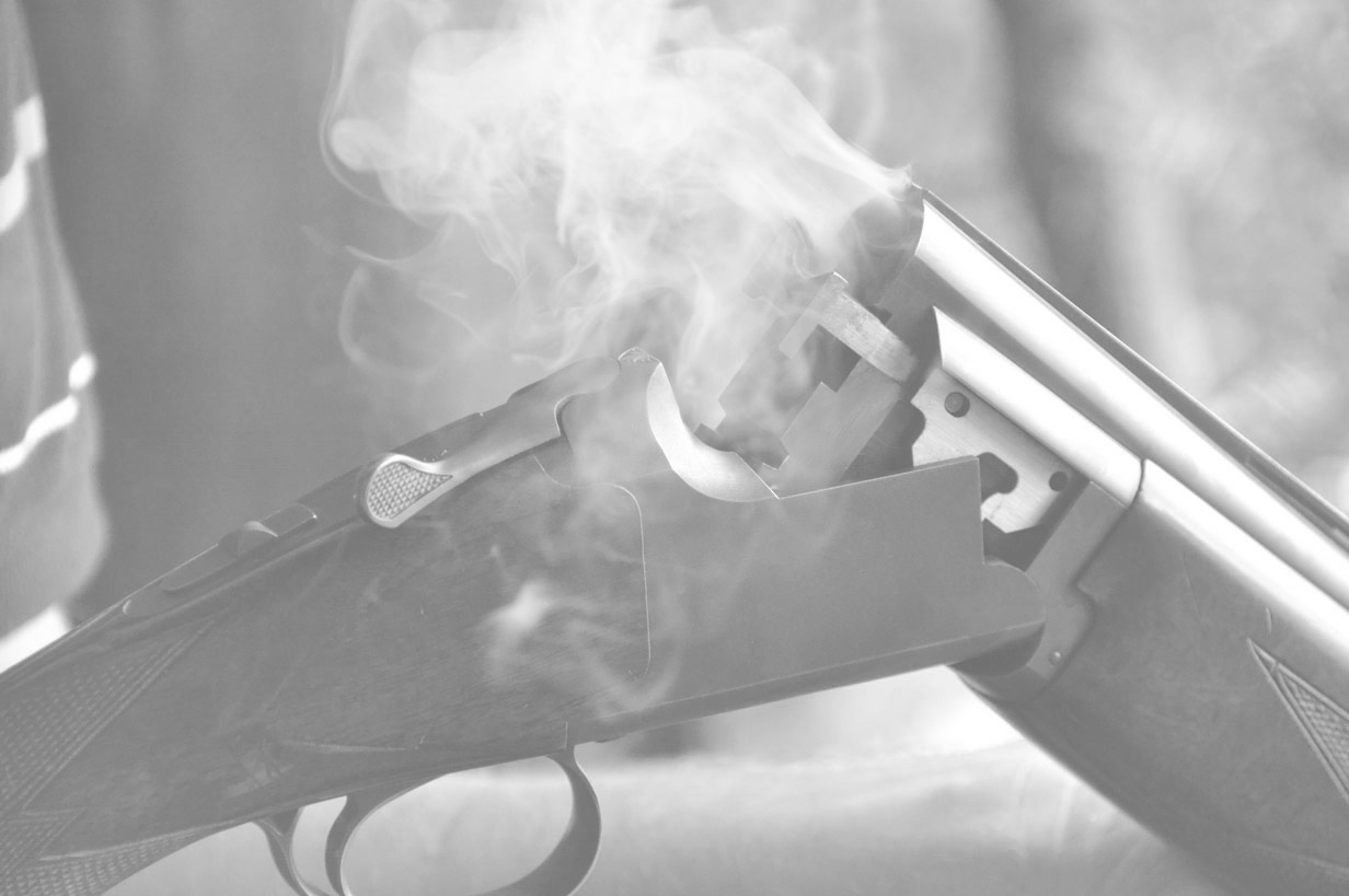 Oxford Gun Company - Gun Room